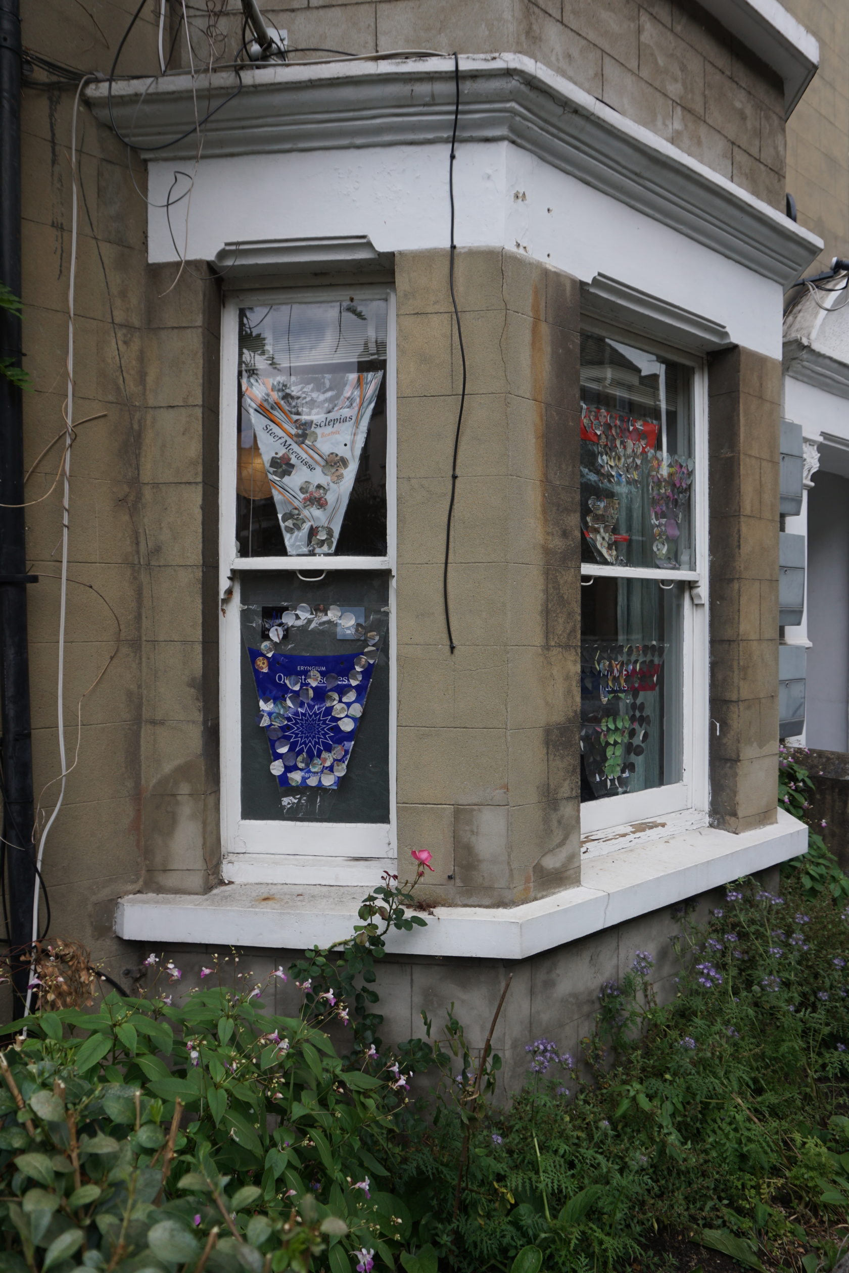 Alice McCabe, Floral Artist: ‘Dada shapes the whole understanding of ...